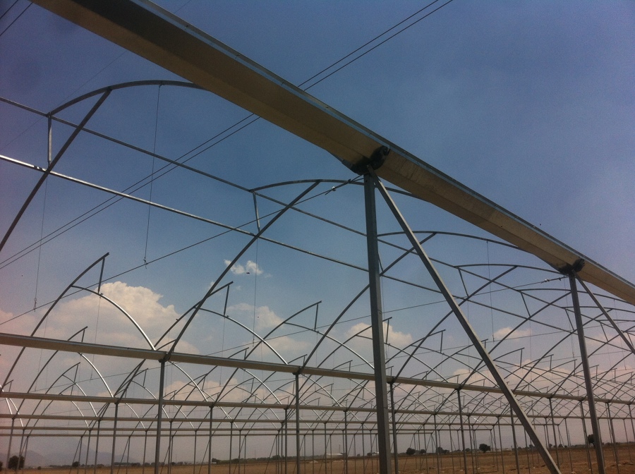 Foto: Estructura de Invernadero de Recinma #393849 - Habitissimo
