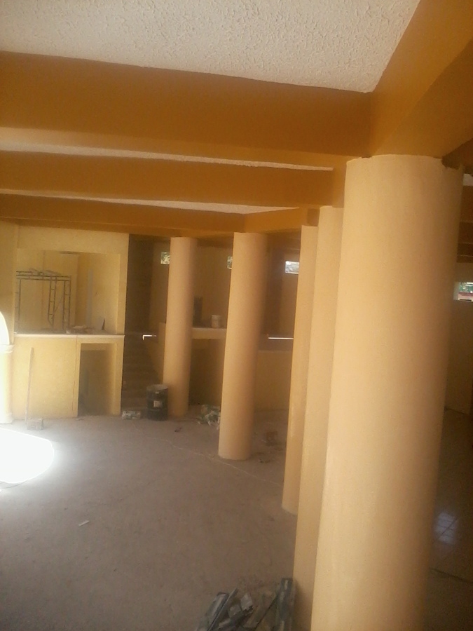 Foto: Paladium de Aplicacion De Pintura Pastas Y Todo Tipo De Acabdos ...