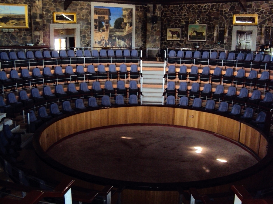 Foto: Palenque: Interior. de Grupo Rode: Arquitectos E Ingenieros ...