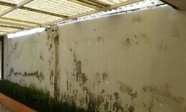 Foto: Muro con Presencia de Humedad y Partes Agrietadas en Cochera de ...