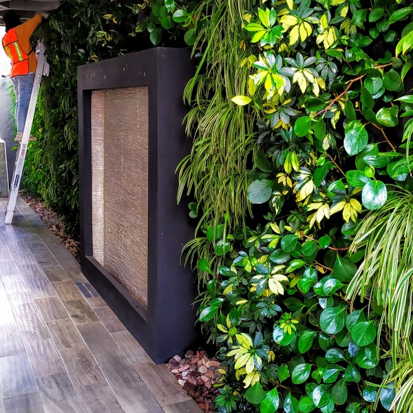 Foto: Pared Verde de Green Life Exteriorismo #975221 - Habitissimo