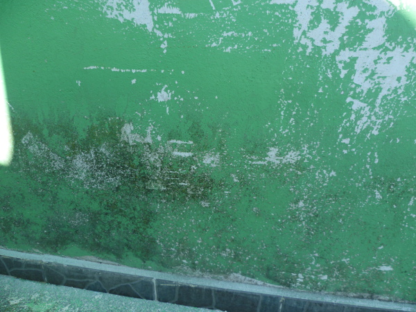 Foto: Pared con Hongos por Exceso de Humedad de Recubrimientos De ...