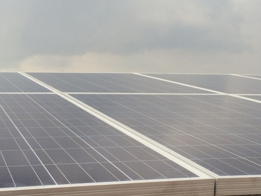 Foto: Animalrest de Bcd Energy #728758 - Habitissimo