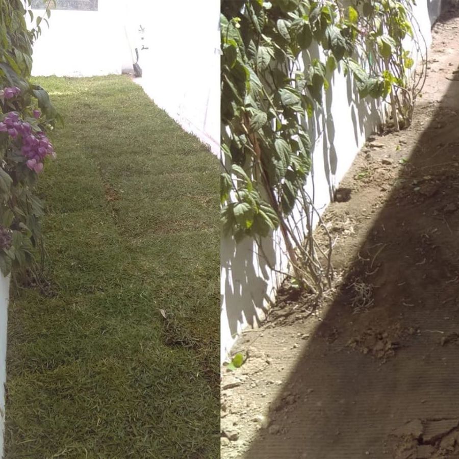Foto: Antes y Después de Instalar Pasto de Macoso #552740 - Habitissimo