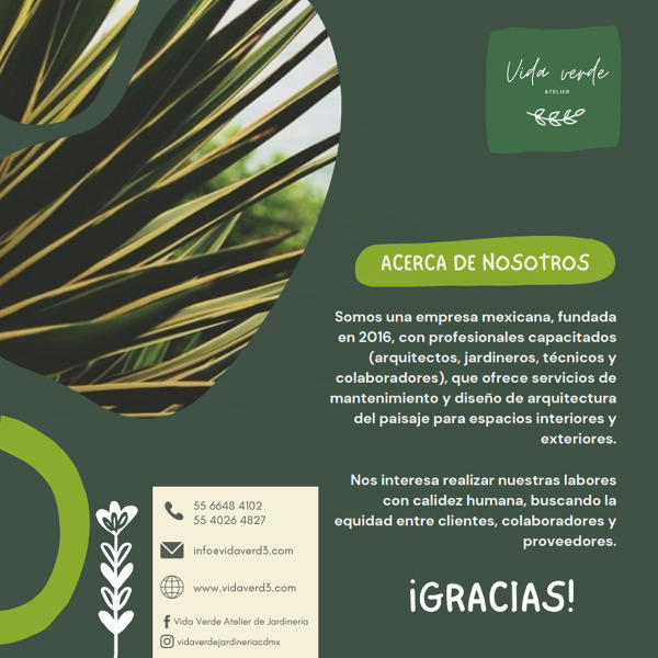 Foto: Acerca de nosotros de VIDA VERDE #841946 - Habitissimo