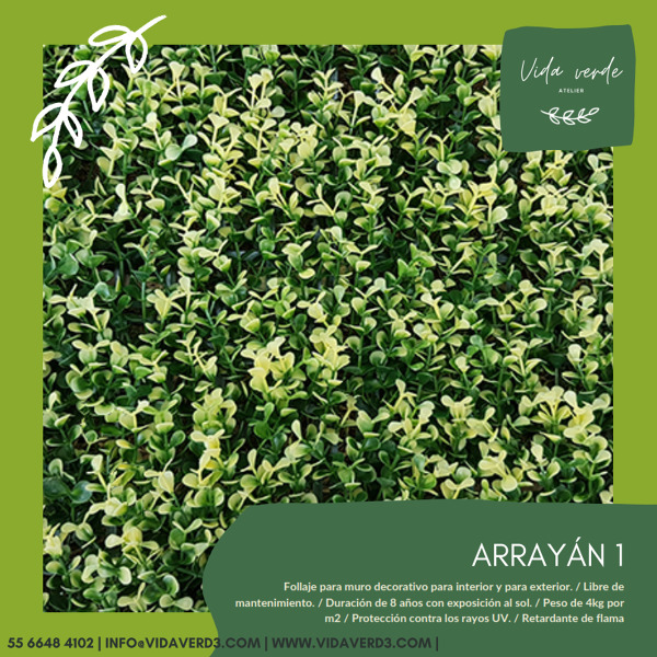 Foto: Arrayán 1 de VIDA VERDE #841963 - Habitissimo