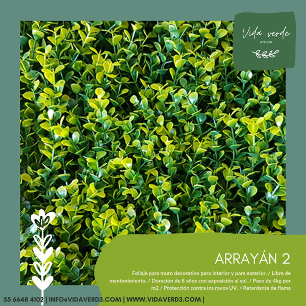 Foto: Arrayán 2 de VIDA VERDE #841962 - Habitissimo