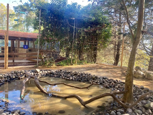 Foto: Aviario de Jb Arquitectura #903364 - Habitissimo