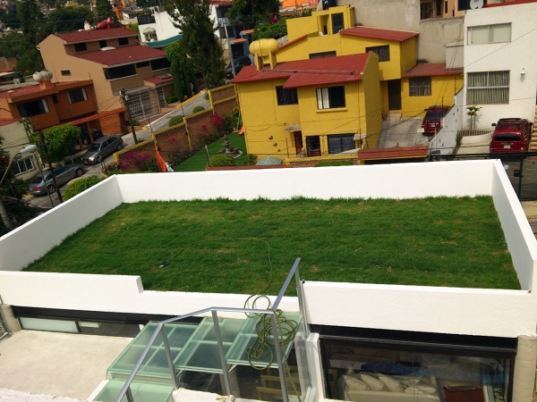 Foto: Azotea Verde de Arquitecturarv #4911 - Habitissimo
