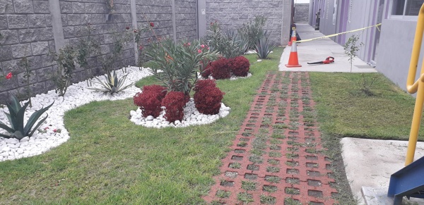 Foto: Delimitando Area Verde para Llevar Acabo Trabajos de ...