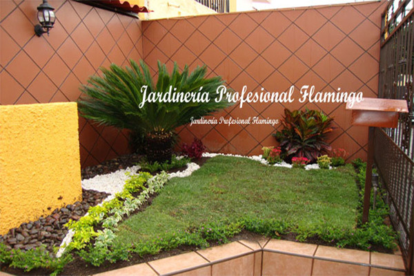 Foto: Diseño de Jardines de Jardineria Flamingo #282676 - Habitissimo