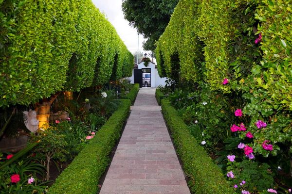 Foto: Entrada de Arquitectura A1 #692246 - Habitissimo