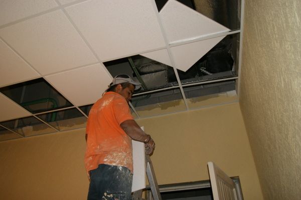 Foto: Falso Plafon de Creactivos #335717 - Habitissimo