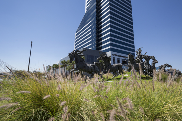 Foto: Glorieta de la Estampida de DOArq Arquitectos #598710 - Habitissimo