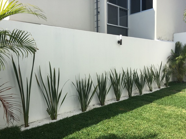 Foto: Jardín Minimalista de Des & Dev #274007 - Habitissimo