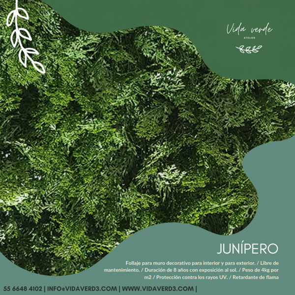 Foto: Junípero de VIDA VERDE #841952 - Habitissimo