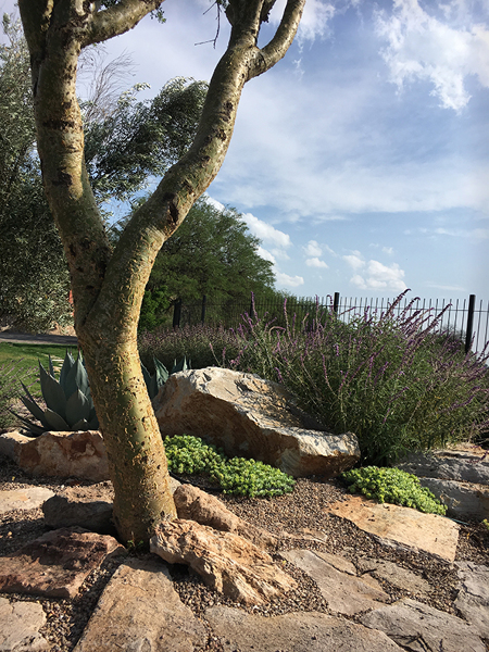 Foto: Palo Xixote de Hábitas #461880 - Habitissimo