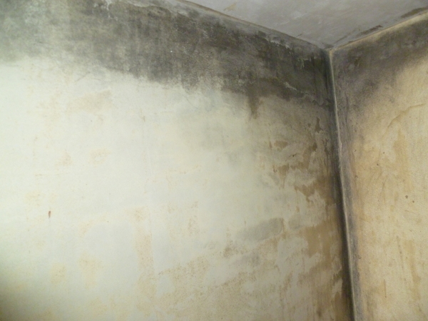 Foto: Pared con Hongos de Recubrimientos De Ixtlahuaca #51765 - Habitissimo