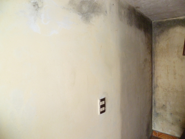 Foto: Pared con Hongos de Recubrimientos De Ixtlahuaca #51767 - Habitissimo