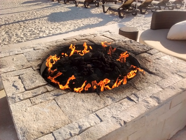 Foto: Pebetero en Playa de Jorge Marrufo #165461 - Habitissimo