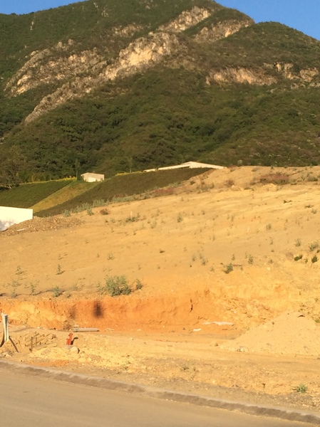 Paisajismo En Un Terreno En Pendiente