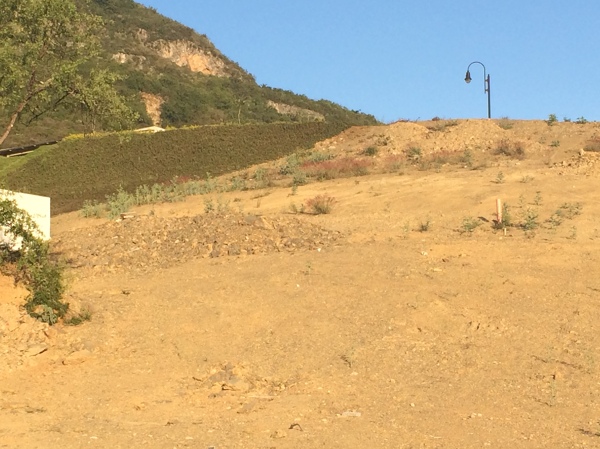 Foto: Pendiente de Terreno Natural de Arq. José Carlos Garcia Gonzalez ...