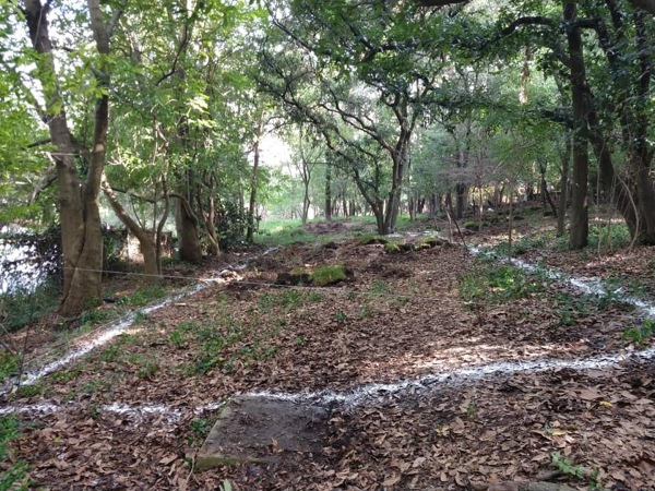 Foto: Terreno Natural de Jb Arquitectura #903579 - Habitissimo